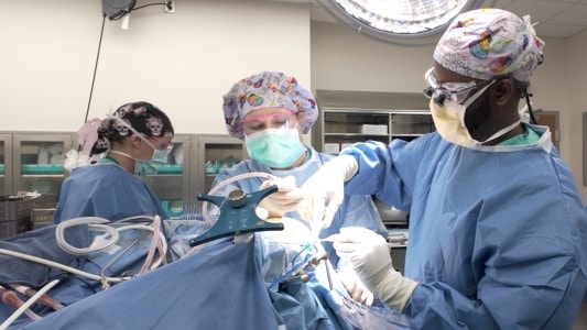 A calming nerve: Ending decade-long hemifacial spasms with a craniotomy